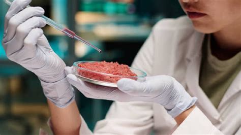 ¿cuáles Son Oms Alerta Sobre Tipos De Carne Que Pueden Causar Cáncer