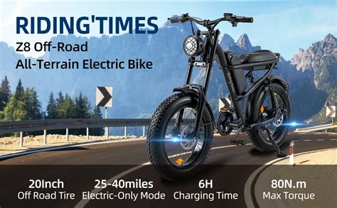 Elektro Velosiped 20 Inch 48v 500w Fatbike Z8 Lady Electric Bicycle ...
