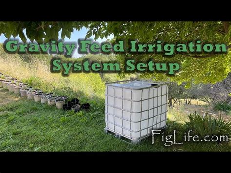 Homemade Gravity Irrigation System A Quick Homemade Drip Irrigation