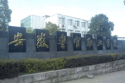 实习就是实战 白湖 安徽 行囊