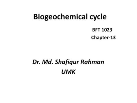 Marine Biogeochemical Cycling