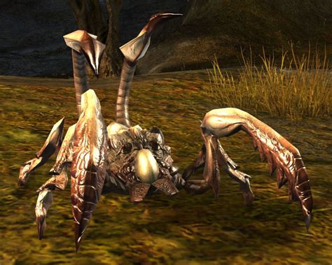 Juvenile Lashtail Devourer Guild Wars 2 Wiki Gw2w