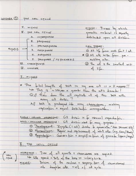 Handwritten Notes On The Cell Cycle The Cell Bild 1 Docsity