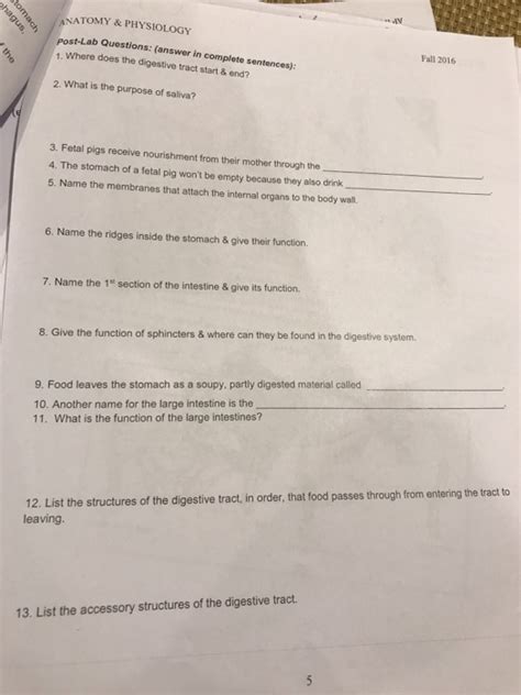 Solved ANATOMY PHYSIOLOGY Post Lab Questions Answer In Chegg