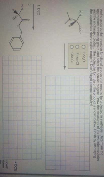 Solved Amino Acids Contain Reactive Functional Groups That Chegg