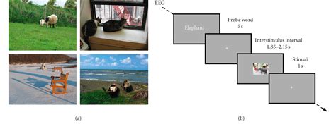 Figure 2 From Single Trial Decoding Of Scalp Eeg Under Natural Conditions Semantic Scholar