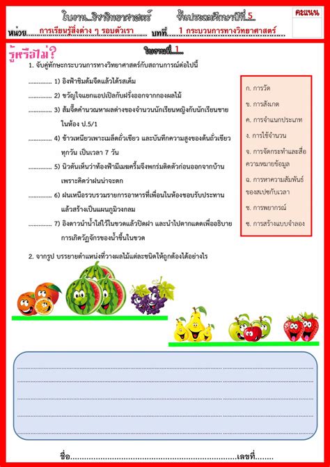 💥แจกฟรี 💥 ไฟล์ใบงาน วิทยาศาสตร์ ครูวุฒิ สอนวิทย์