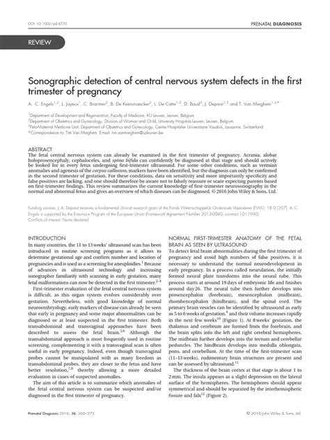 Sonographic Detection Of Central Nervous System Defects In The First