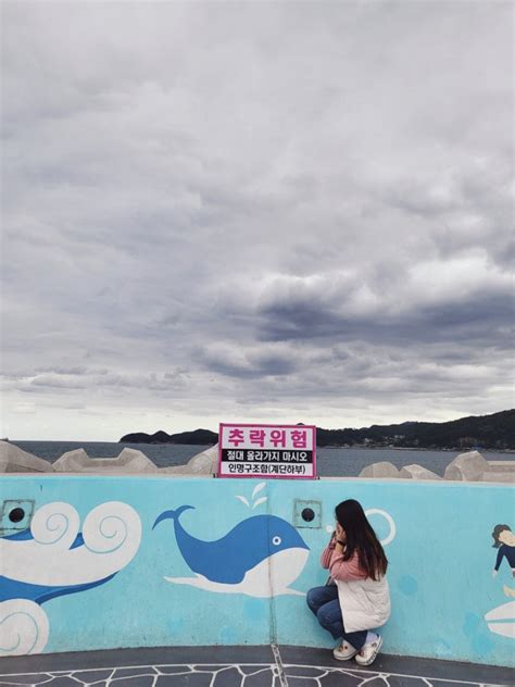 여수 오동도 여행 코스 가볼만한곳 산책 명소 입장료 시간 주차 카페 네이버 블로그