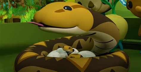 Burmese Python Octonauts Wiki Fandom