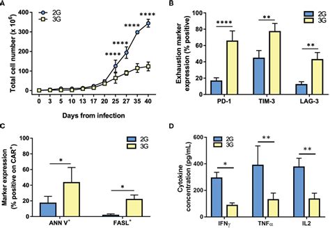 Frontiers Psma Specific Car Engineered T Cells For Prostate Cancer