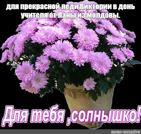 Мем для прекрасной леди Виктории в день учителя от Ланы из молдовы Все шаблоны Meme