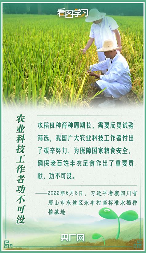 看图学习牢记总书记叮嘱 攥紧种子端牢饭碗 中安新闻 中安新闻客户端 中安在线