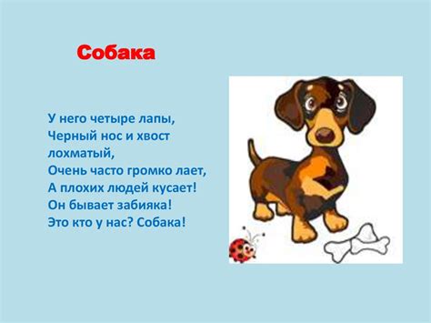 Стихи о животных презентация онлайн