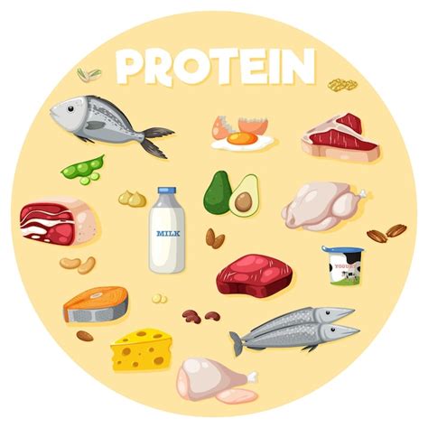 Variedad De Alimentos Proteicos Vector Premium