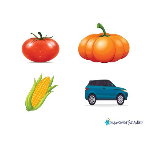 Select Non Example According To Object Hope Center For Autism