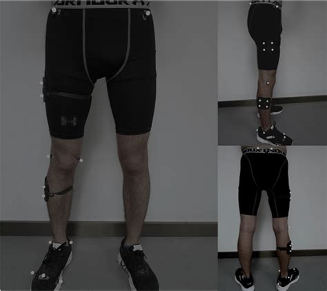 Figure 1 From Temporal Kinematic Differences Between Forward And Backward Jump Landing