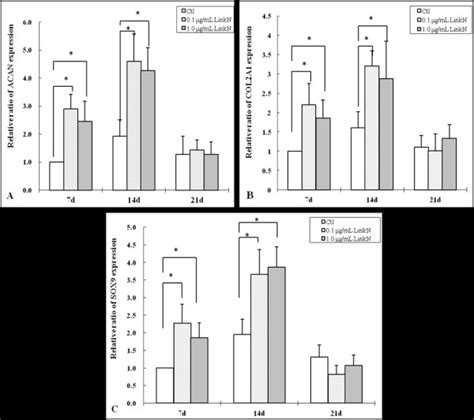 Relative Ratio Of Acan A Col2a1 B And Sox9 C Gene Expression In