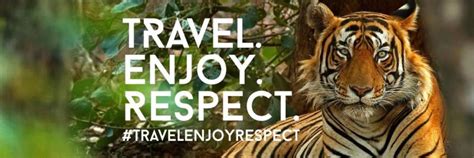 Ramin Farzad Posted On Linkedin