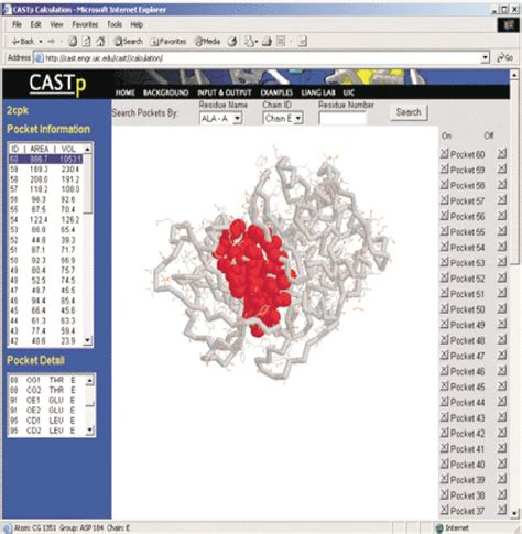 Visualization Of Atp Binding Pocket Automatically Identi Fi Ed On The