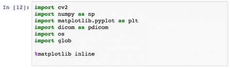 深度学习下的医学图像分析 教材名称 深度神经网络 医学图像 csdn博客