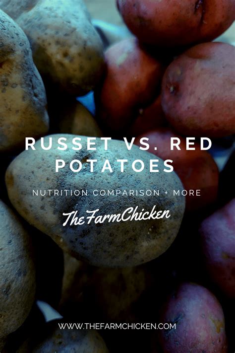 Raspberry Vs Strawberry Comparison And Nutrition Thefarmchicken Raspberry Vs Strawberry Comparison And Nutrition Thefarmchicken