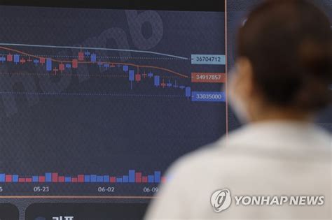 보릿고개 넘은 가상자산 거래소들 빈익빈부익부 심화 나무뉴스
