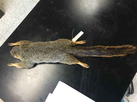 Biology 427 Lab Exam 1 Diagram Quizlet