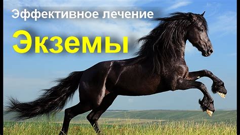 Лечение экземы на руках и ногах. Как вылечить экзему народными ...