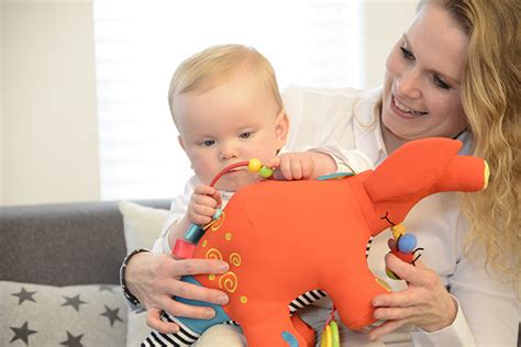 Antoine The Aardvark Dolcetoys