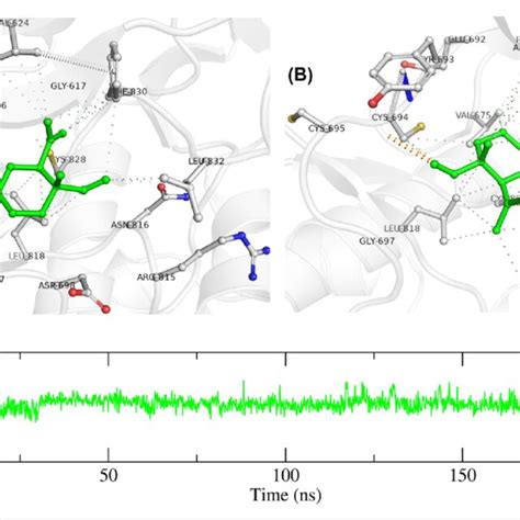 Protein Ligand Molecular Dynamical Interactions A Binding Pose Of