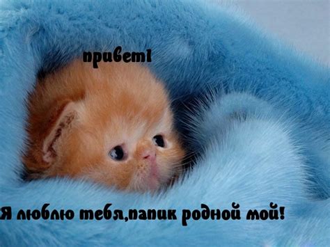 Картинки с надписями. Папа, я люблю тебя!.