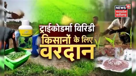 Annadata जैविक खेती के लिए वरदान है Trichoderma जानिए इसके फायदे Agriculture।trichoderma