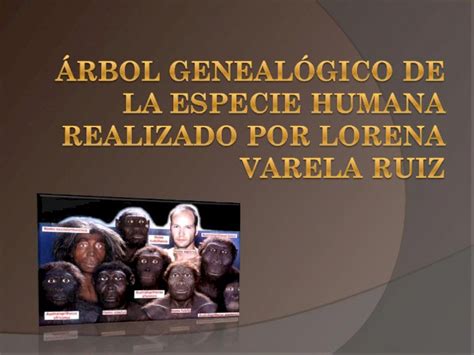 Ppt Proceso De HominizaciÓn 5000000 Australopithecus Ramidus Es