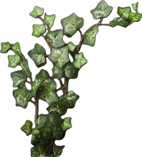 Silk Ivy Spray By Ashland® Michaels Print Collage Aesthetic