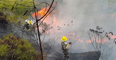 Incendios Forestales Arrasan Más De 300 Hectáreas En Departamento
