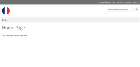 Custom Theme In Magento 2 Webkul Blog