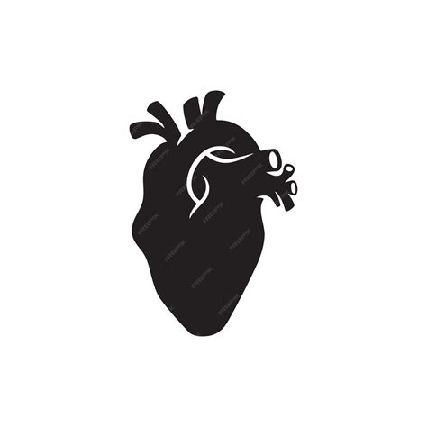 Premium Vector Human Heart Anatomically Correct Hand Drawn Line Art