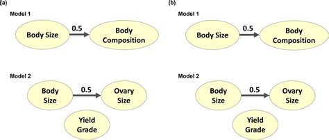 Frontiers Multi Trait Phenotypic Modeling Through Factor Analysis And Bayesian Network