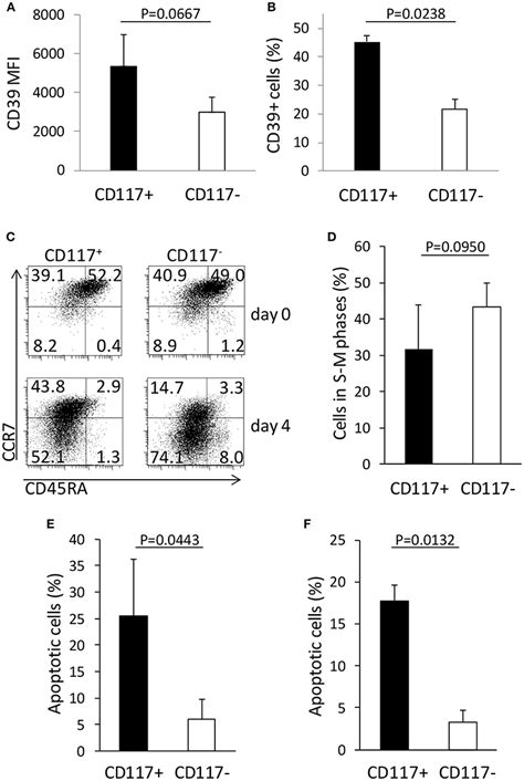 Frontiers Cd117 C Kit Is Expressed During Cd8 T Cell Priming And