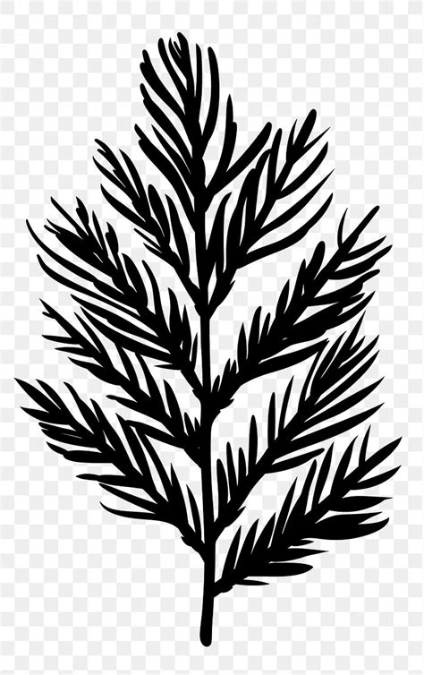 Png Cedar Leaf Leaf Art Free Png Rawpixel