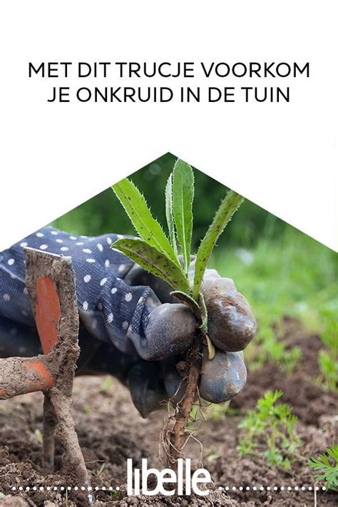 Met Dit Trucje Voorkom Je Onkruid In De Tuin Artofit