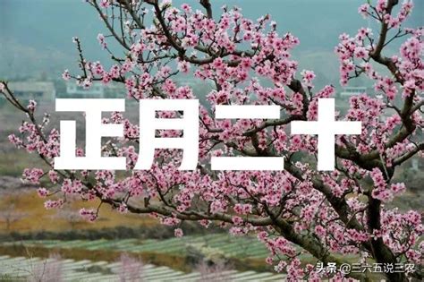 天氣預報：今日正月二十，女媧補天日！下雨有啥說法？看農諺咋說 每日頭條