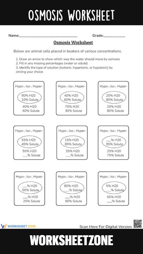 Osmosis Worksheet Problems Practice Interactive Worksheets