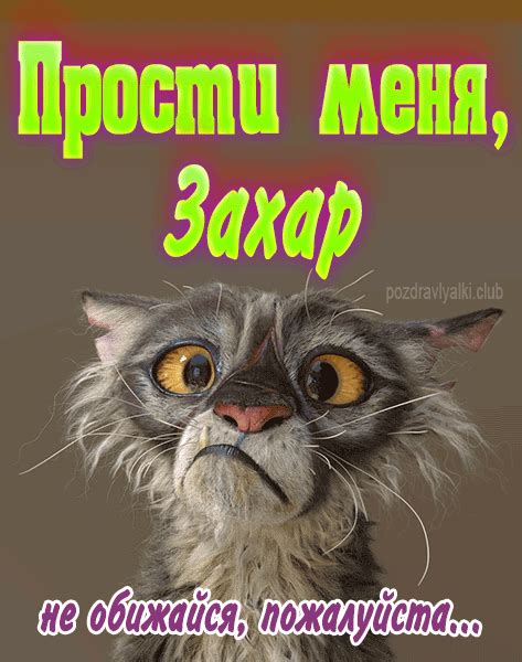 Захар открытки на каждый день