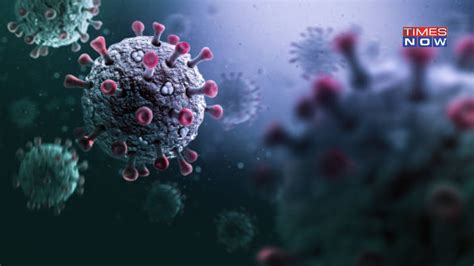 Covid Cases Today Jn1 Cases In India Live Coronavirus Cases Drop