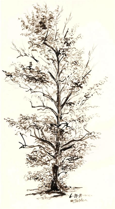 Some Art Maybe A Little Gardening A Few Other Bits Black Walnut Ink
