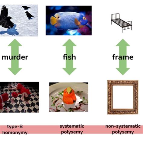 the spectrum of polysemy representing how certain kinds of sense
