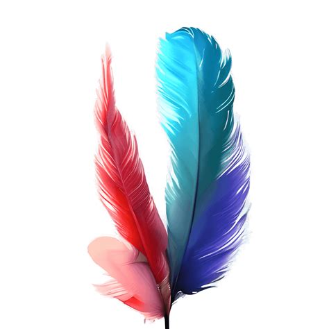 Colorful Feather Watercolor · Creative Fabrica
