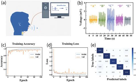 A Voice Recognition Sensor That Combines Deep Learning Methods With A